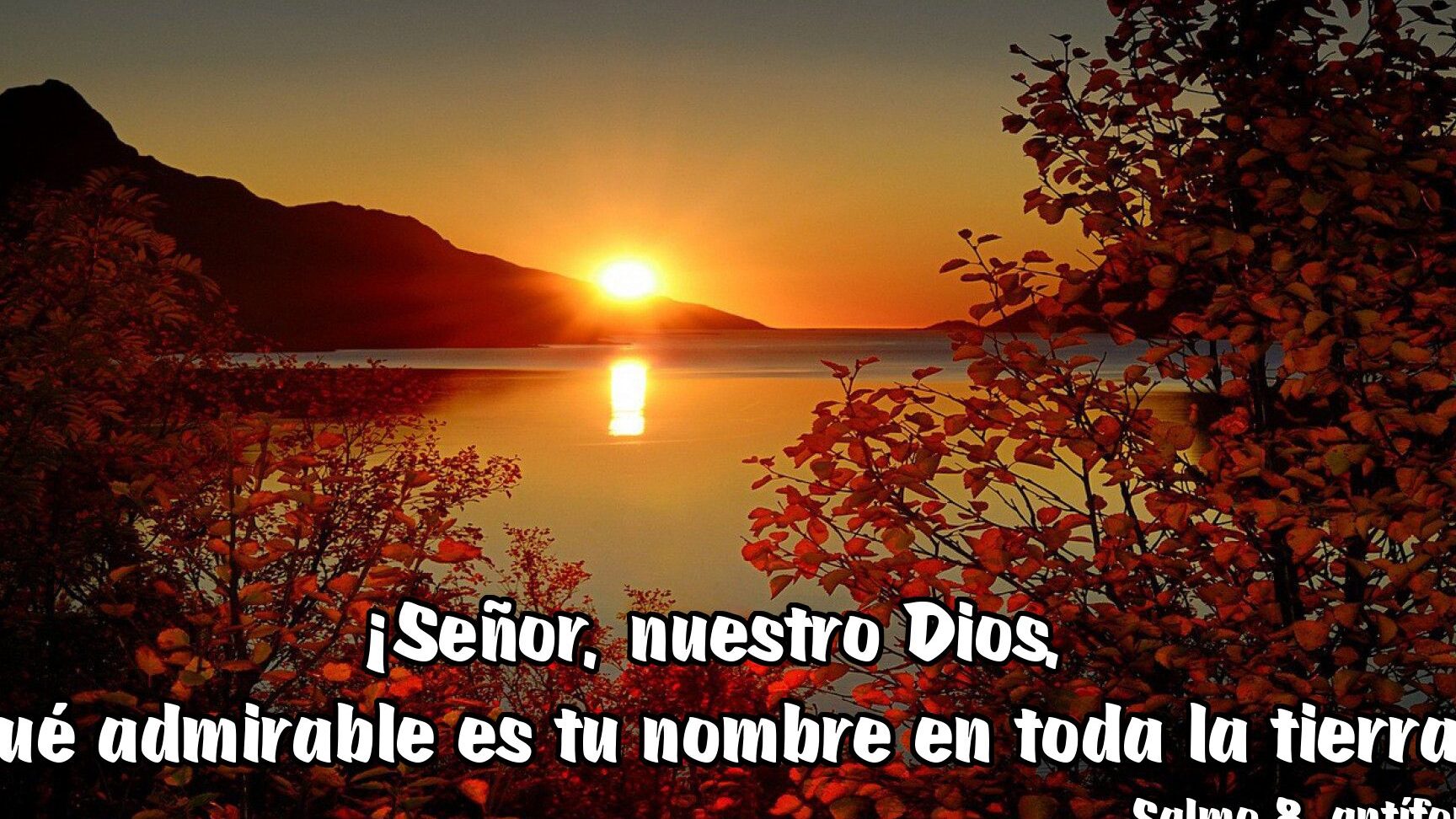 Señor Dios nuestro, ¡qué admirable es tu nombre en toda la tierra! en 2023